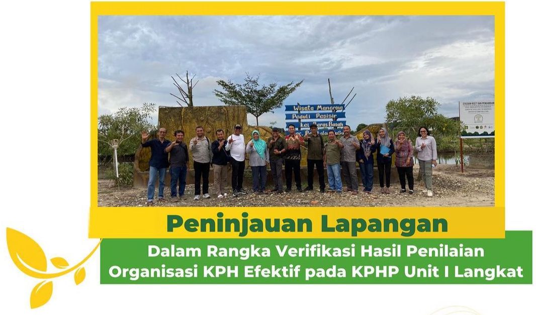 Sistem Informasi RPHJP